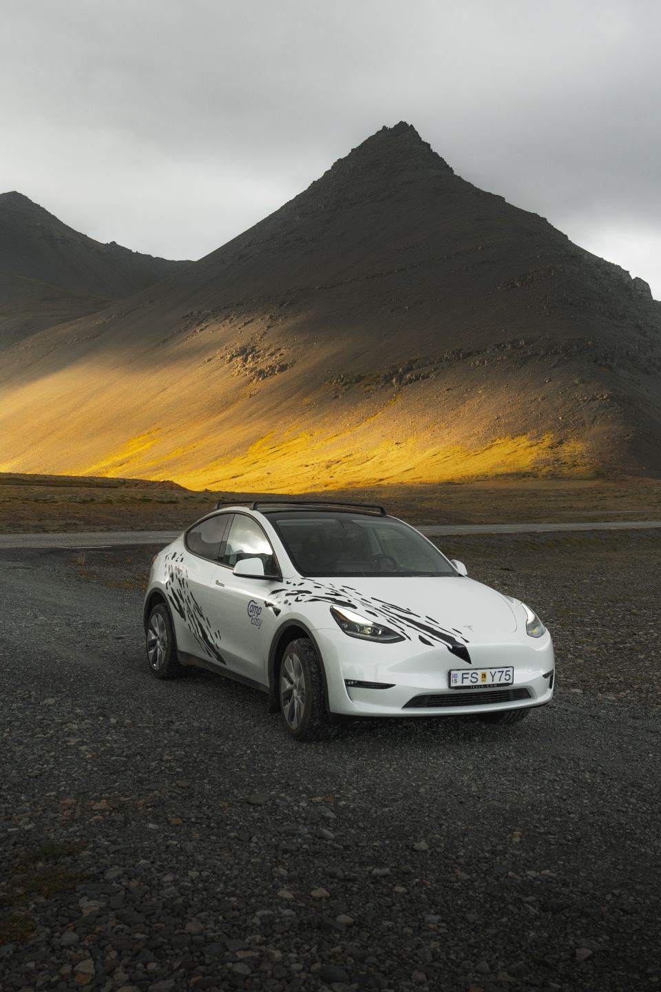 Tesla Camper Y 4x4 - CampEasy
